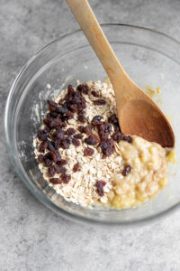 4 Ingredient Oatmeal Raisin Cookies - Plant Based Juniors