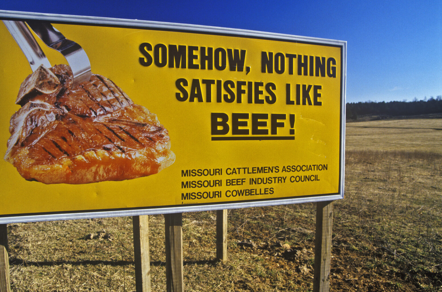 Should Your Baby Eat Beef? - Plant Based Juniors