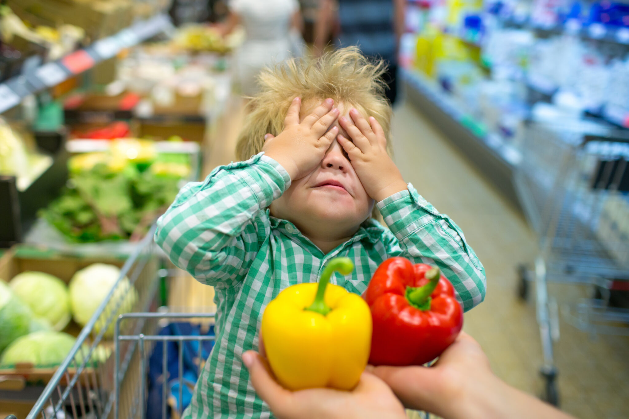 Should You Hide Vegetables in Your Child's Meals? - Plant Based Juniors