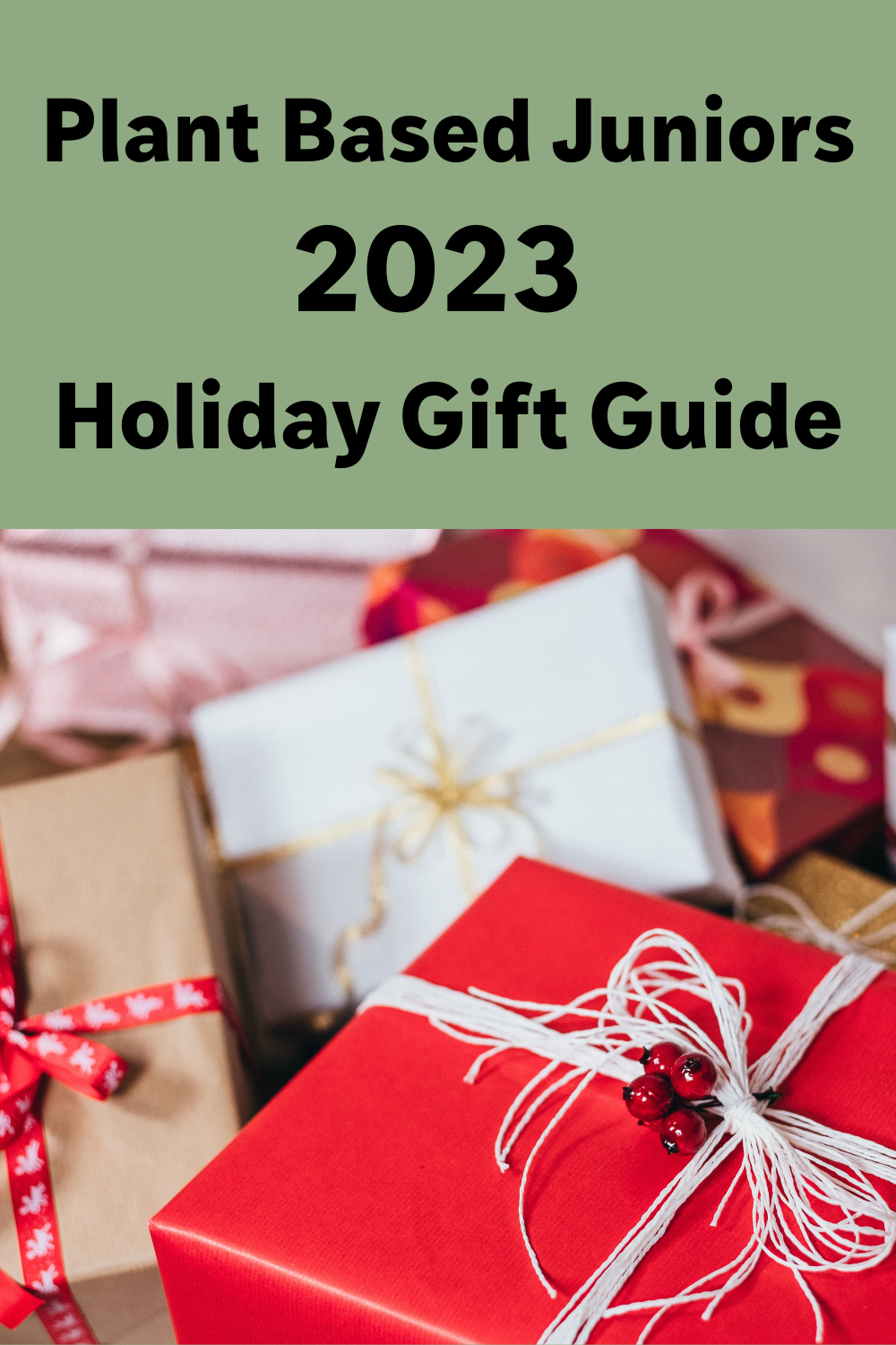Plant Based Juniors 2023 Gift Guide - Plant Based Juniors