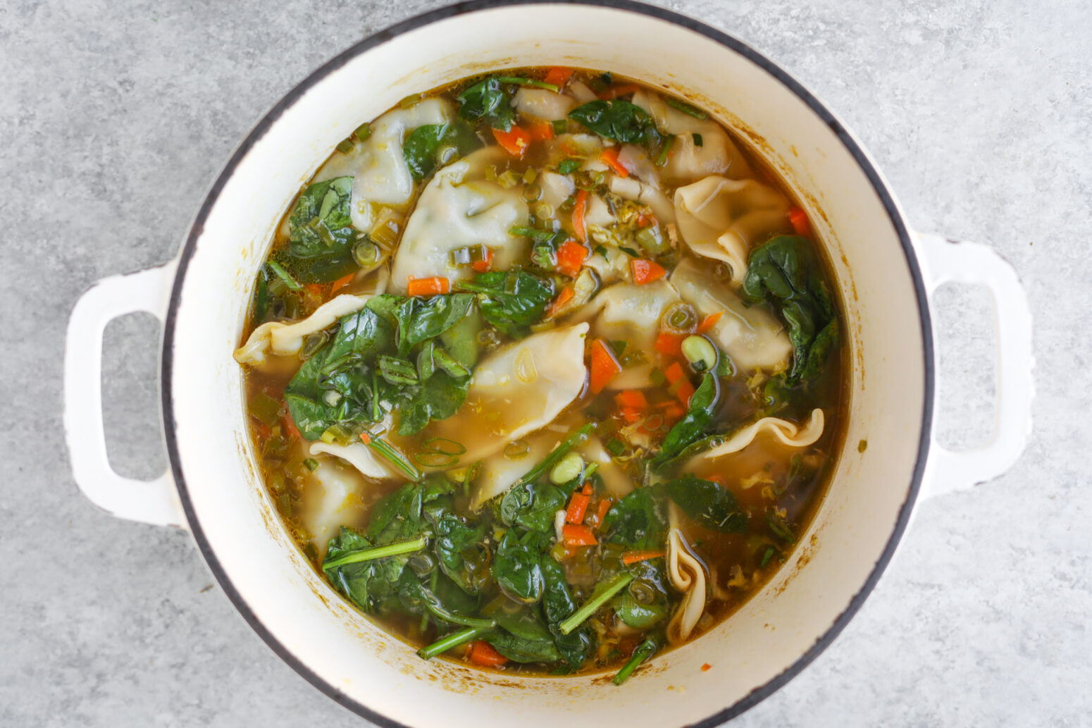 Quick Dumpling Soup (Using Frozen Dumplings) - Plant Based Juniors