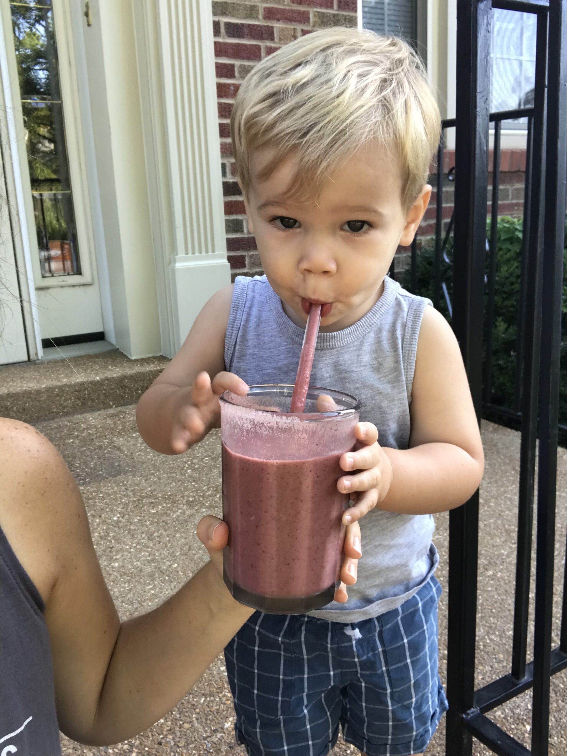 Blueberry Protein Smoothie - Plant Based Juniors